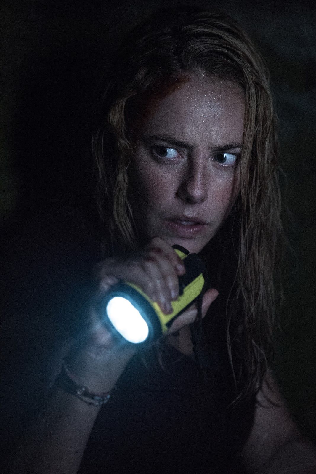 Foto zum Film Crawl - Bild 17 auf 29 - FILMSTARTS.de