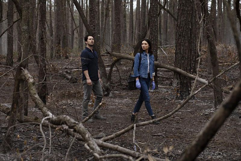 Swamp Thing: Swamp Thing : Bild Andy Bean, Crystal Reed - 20 von 50 ...