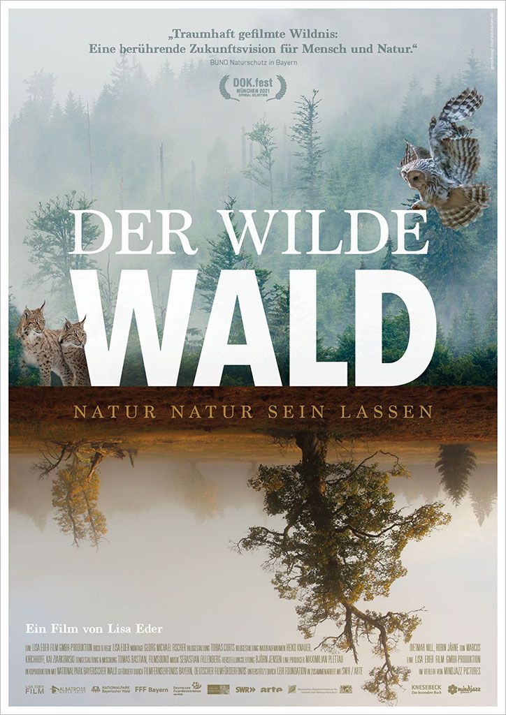 Der wilde Wald - Natur Natur sein lassen - Dokumentarfilm 2021 ...