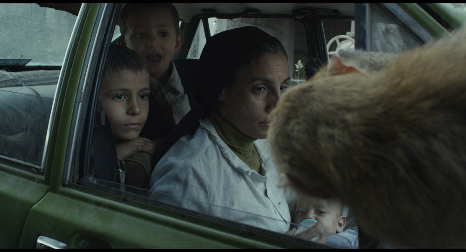 Foto zum Film Feathers - Bild 3 auf 7 - FILMSTARTS.de