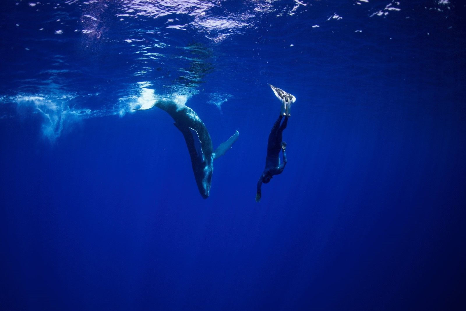 Foto zum Film Reset - Bild 3 auf 10 - FILMSTARTS.de