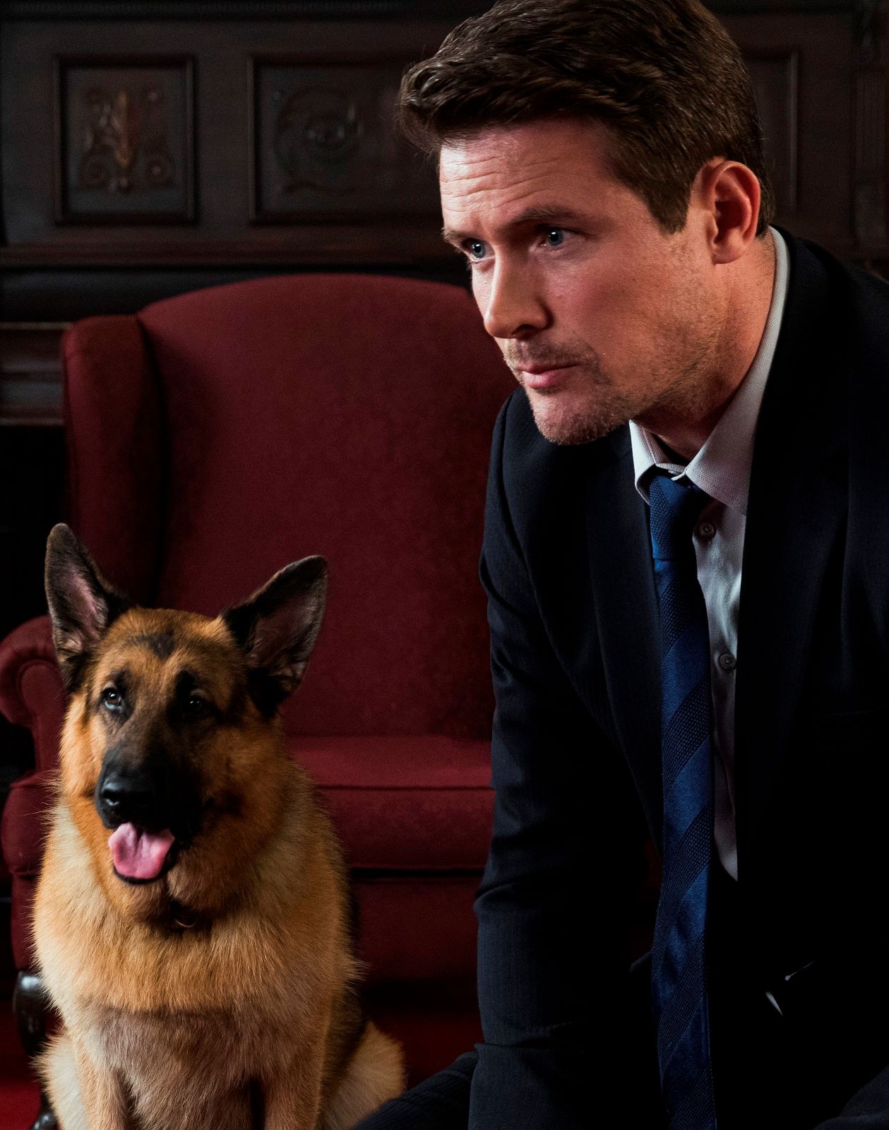 Poster Hudson & Rex staffel 2 - Poster 15 von 17 - FILMSTARTS.de