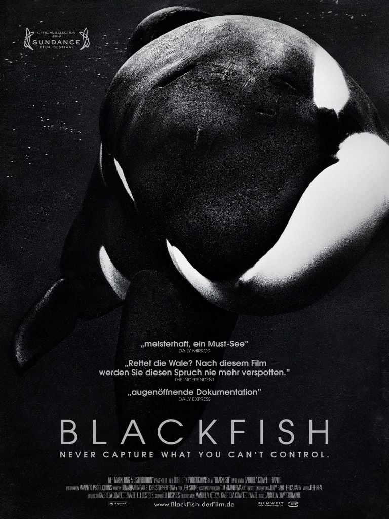 Blackfish - Dokumentarfilm 2013 - FILMSTARTS.de