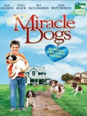 Miracle Dogs - Film 2003 - FILMSTARTS.de