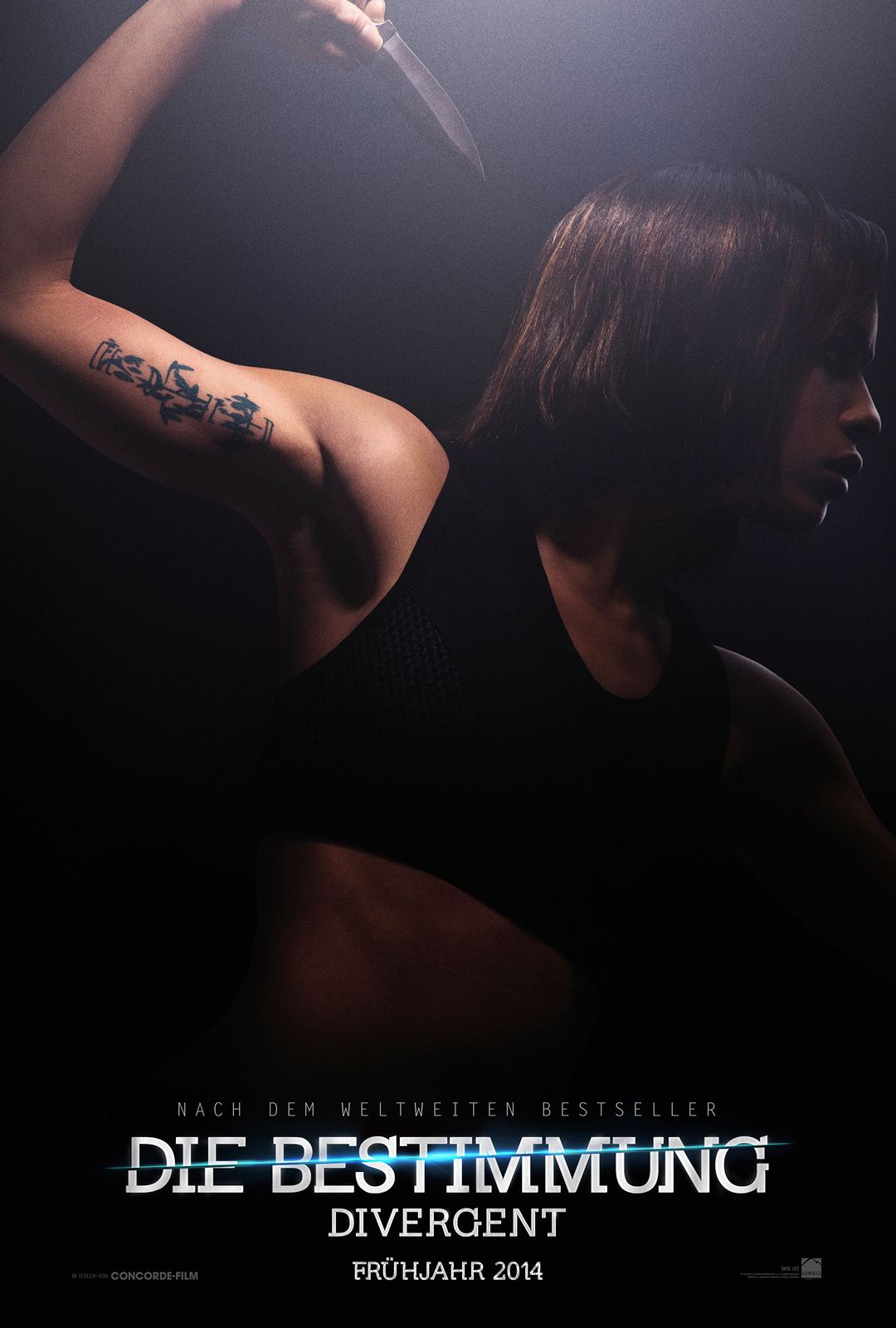 Poster zum Film Die Bestimmung - Divergent - Bild 66 auf 74 - FILMSTARTS.de