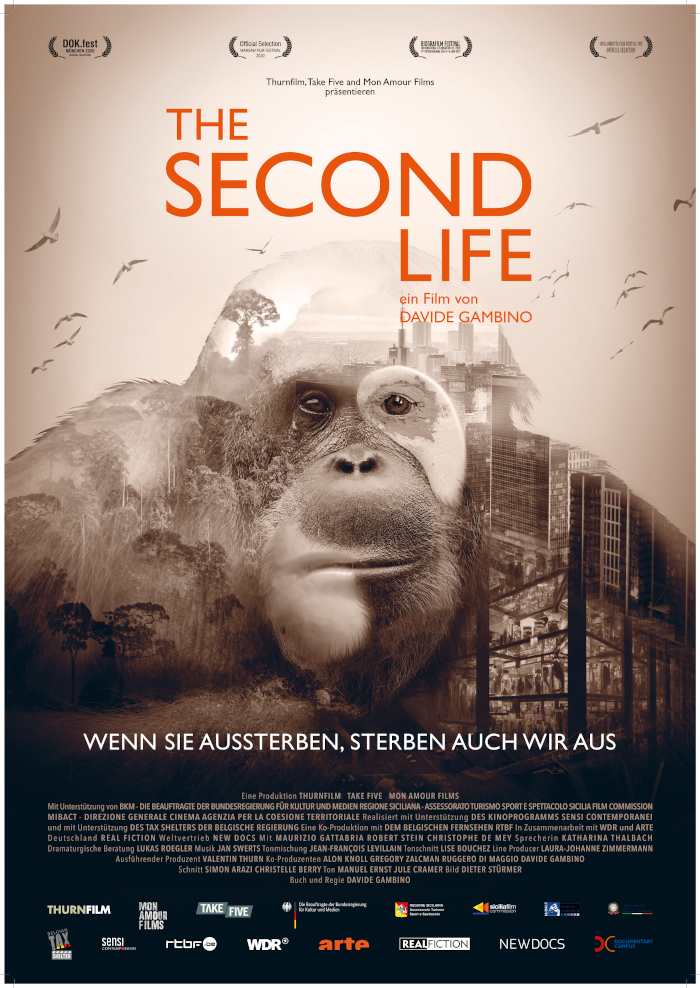 The Second Life - Das zweite Leben - Dokumentarfilm 2020 - FILMSTARTS.de