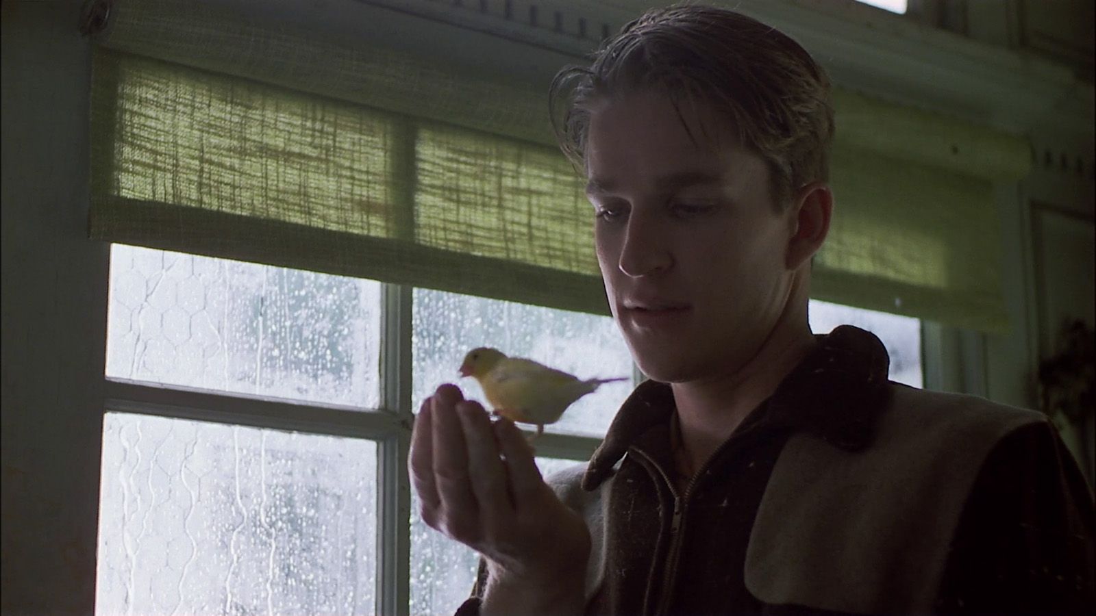 Bild zu Matthew Modine - Birdy : Bild Matthew Modine - Foto 11 von 71 ...