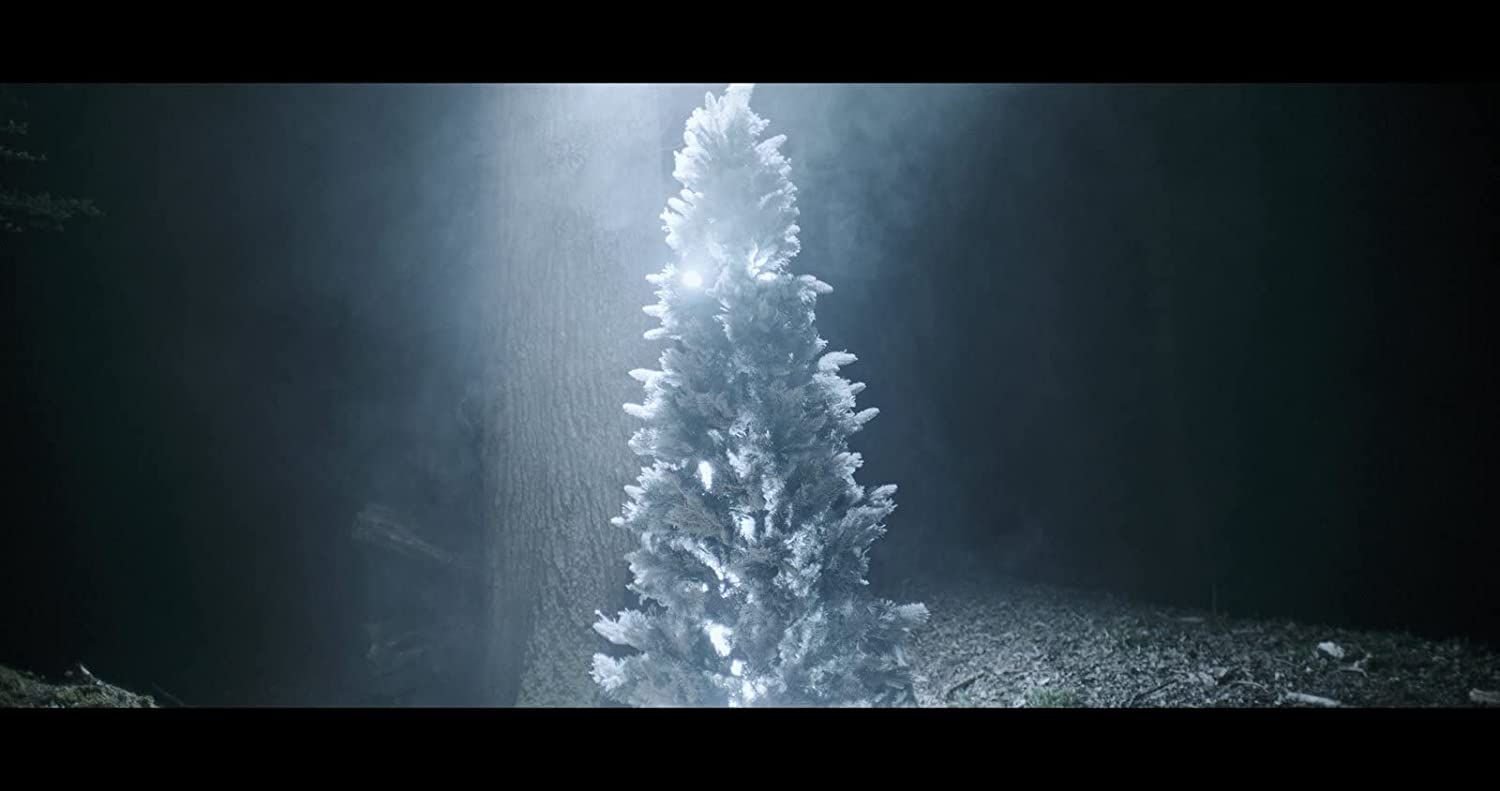 Foto zum Film The Killing Tree - Bild 2 auf 11 - FILMSTARTS.de