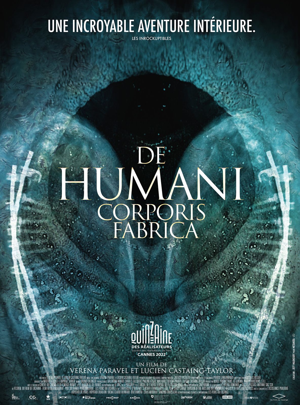 De Humani Corporis Fabrica - Dokumentarfilm 2022 - FILMSTARTS.de