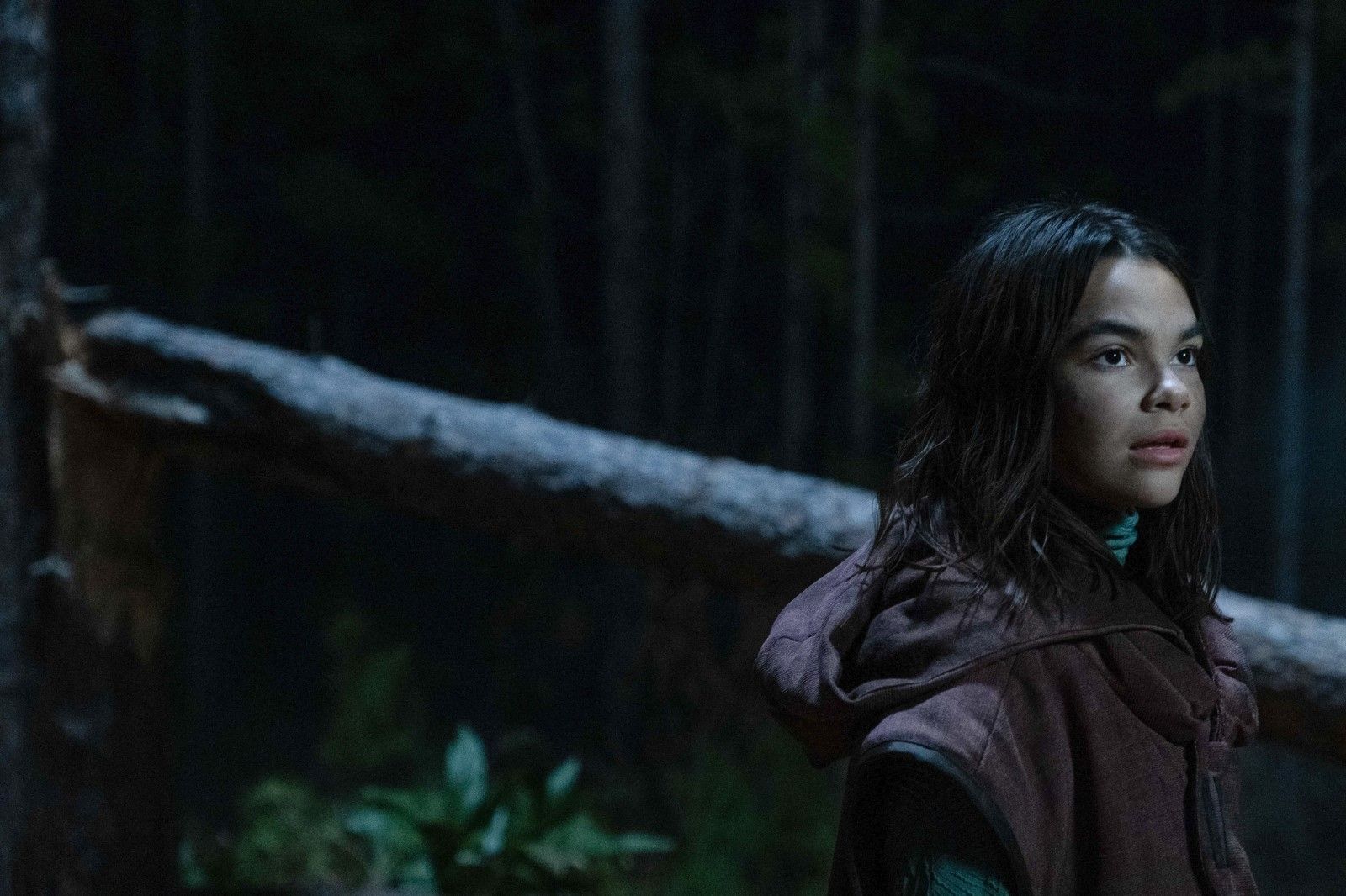 Bild zu Ariana Greenblatt - 65 : Bild Ariana Greenblatt - Foto 3 von 14 ...