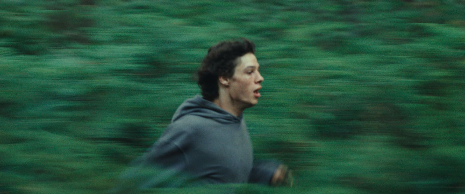 Bild zu Paul Kircher - Animalia : Bild Paul Kircher - Foto 5 von 20 - FILMSTARTS.de