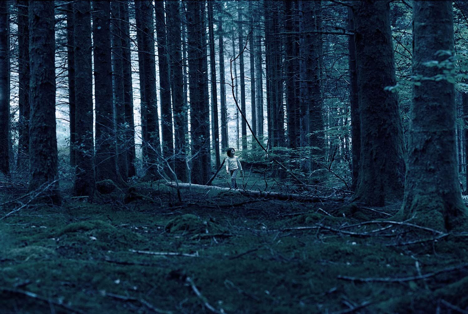 Foto zum Film Ogre - Bild 2 auf 14 - FILMSTARTS.de