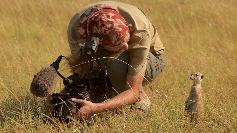 Foto zum Film Pambara - Brauchen wir einen Boss - Bild 1 auf 7 ...