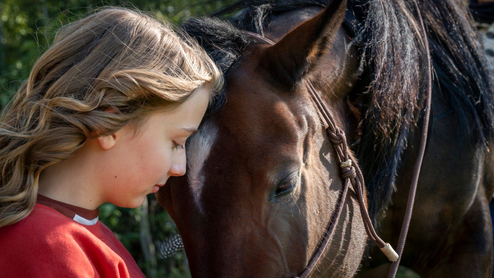 Foto zum Film Ponyherz - Bild 2 auf 21 - FILMSTARTS.de