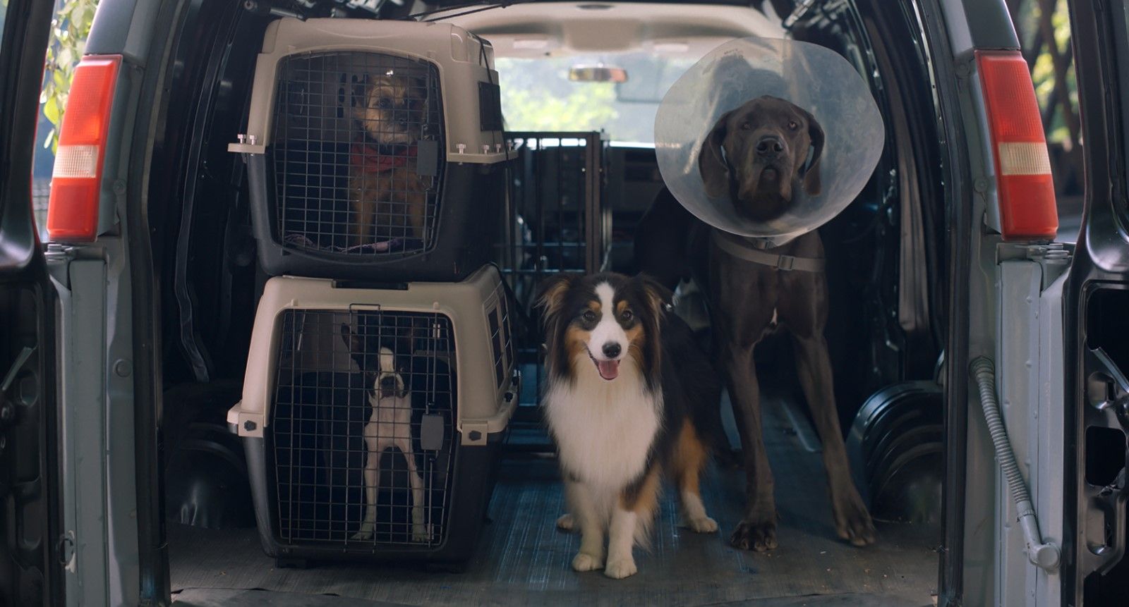 Foto zum Film Doggy Style - Bild 13 auf 30 - FILMSTARTS.de