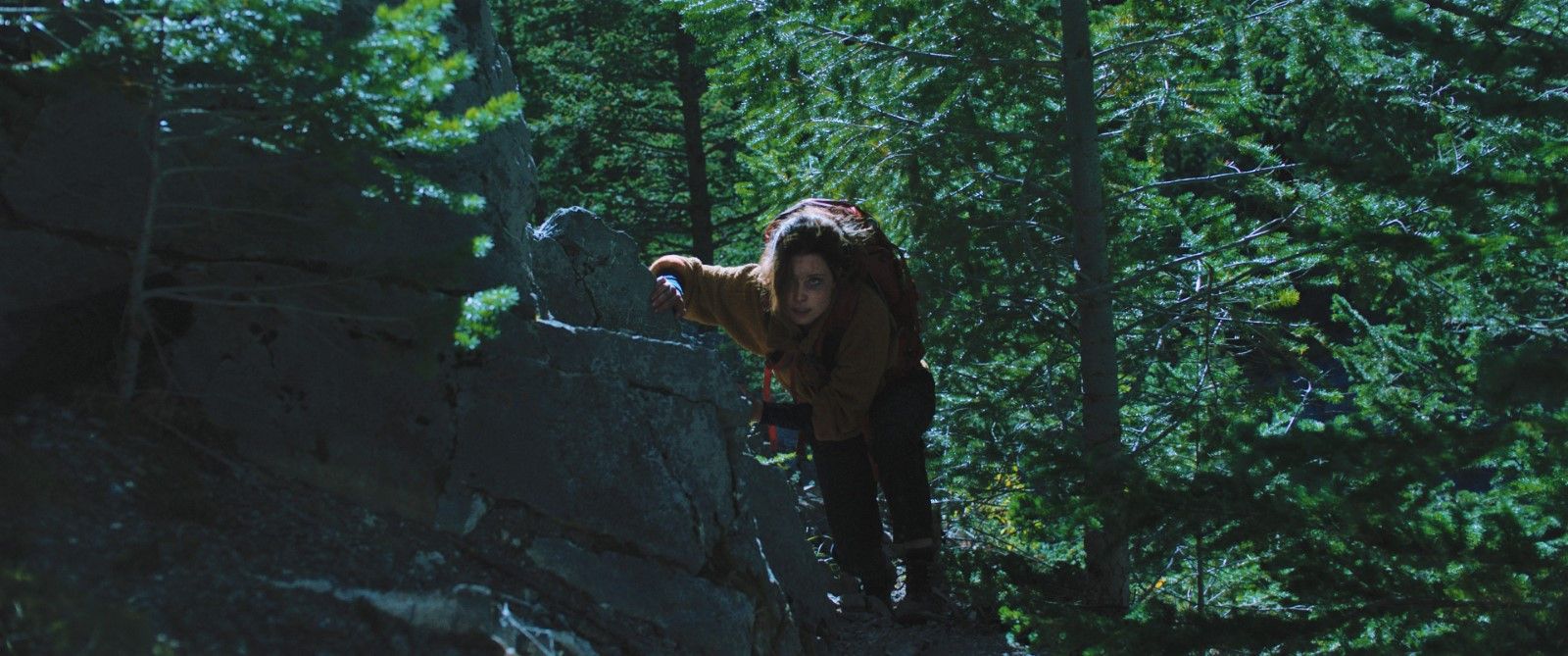 Foto zum Film Dark Nature - Bild 5 auf 11 - FILMSTARTS.de