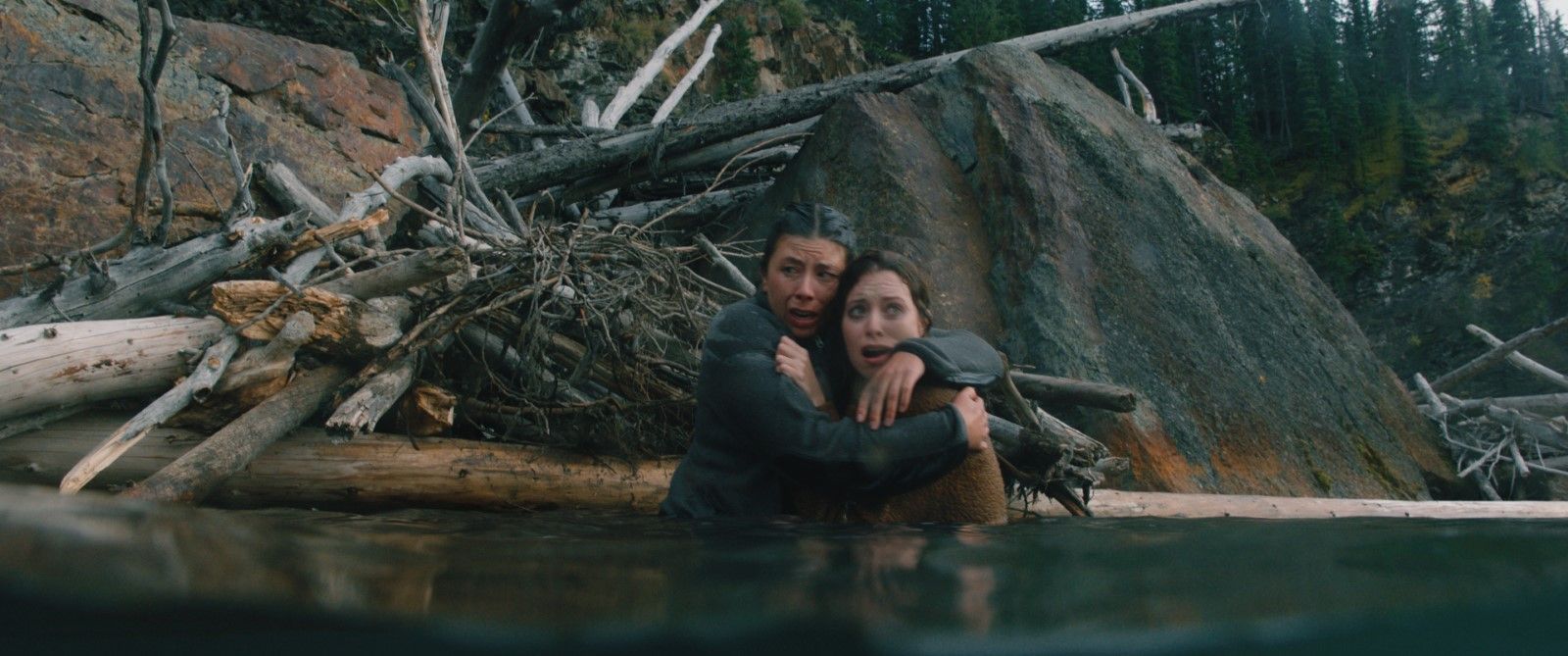 Foto zum Film Dark Nature - Bild 3 auf 11 - FILMSTARTS.de
