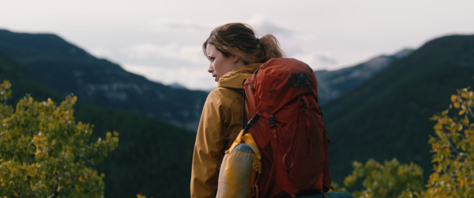 Foto zum Film Dark Nature - Bild 2 auf 11 - FILMSTARTS.de