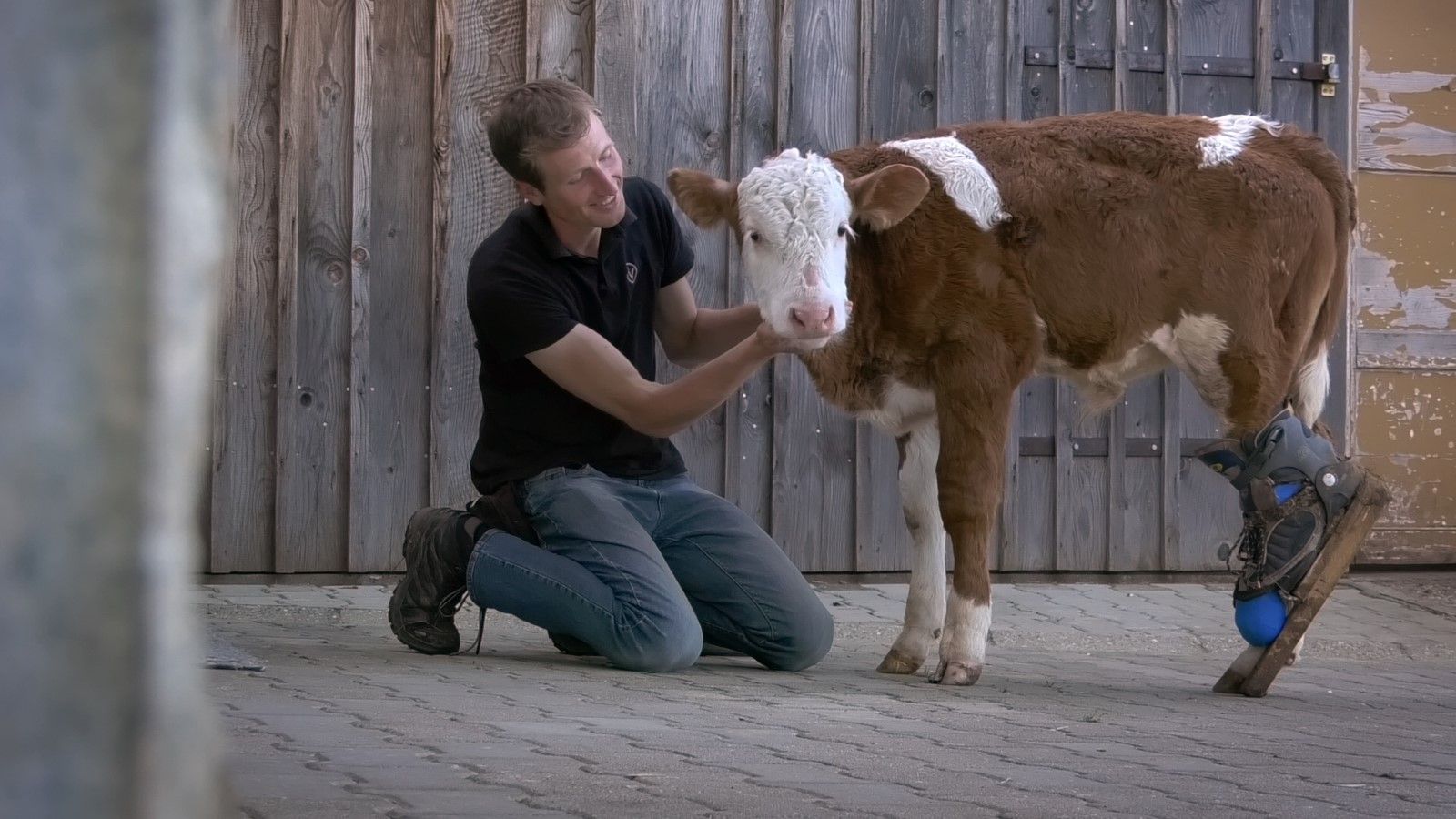 Foto zum Film Menschen & Tiere - Bild 5 auf 6 - FILMSTARTS.de