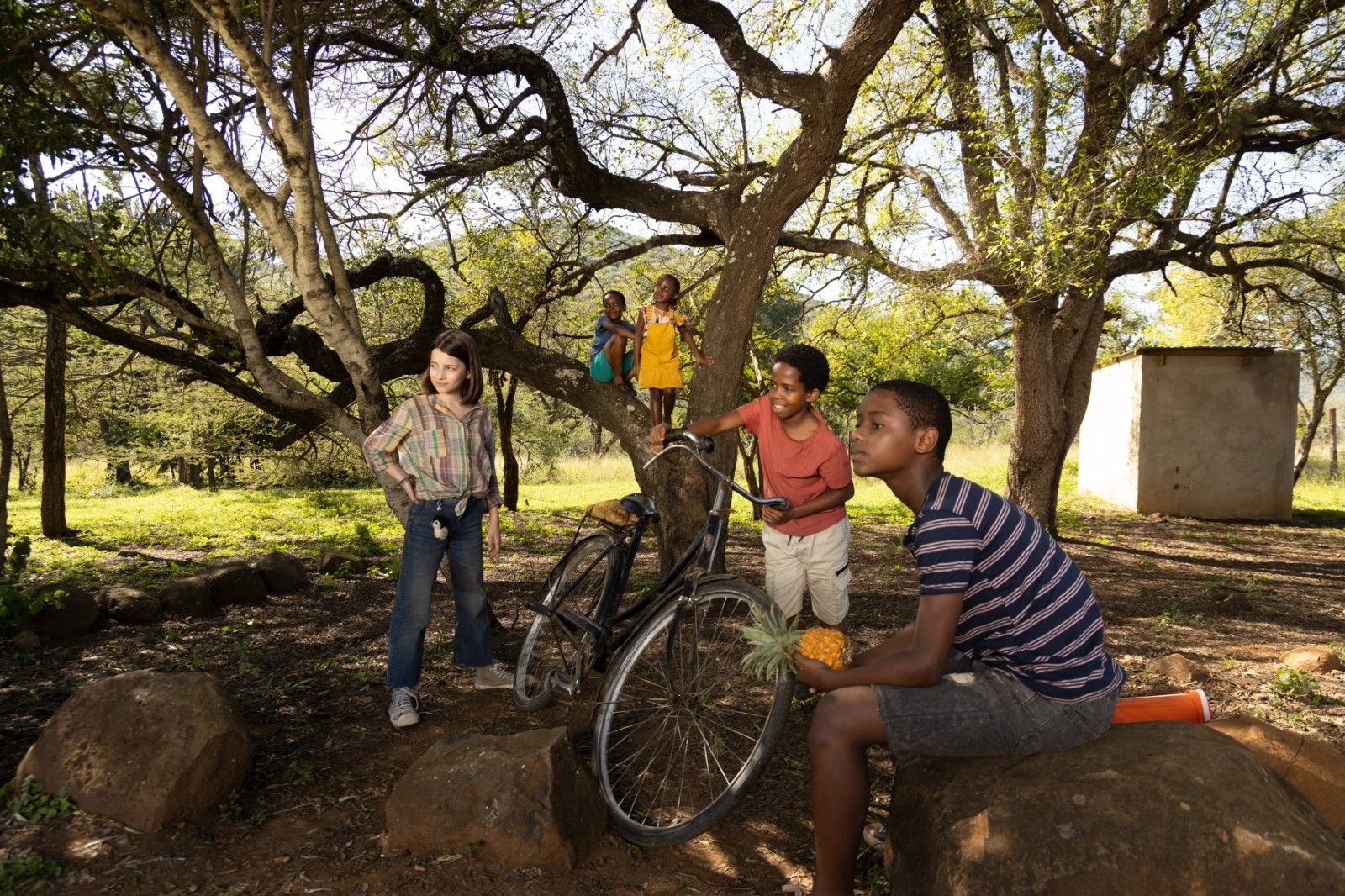 Bild zu Kumkani Pilonti - Thabo - Das Nashorn-Abenteuer : Bild ...