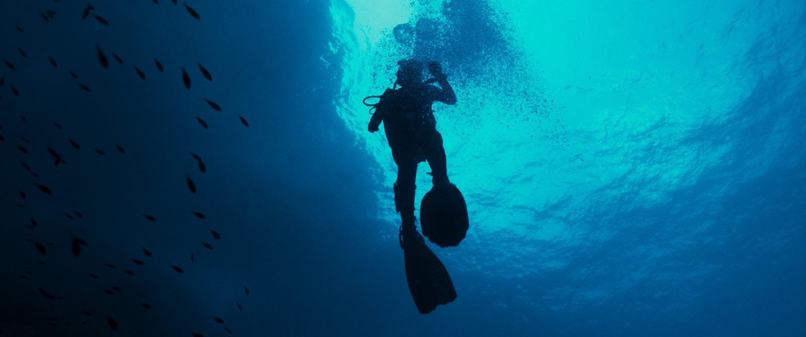 Foto zum Film The Dive - Bild 4 auf 21 - FILMSTARTS.de