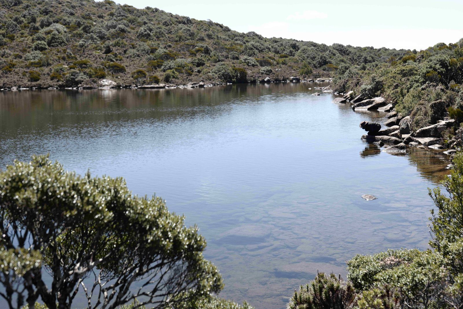 Foto zum Film The Survival Of Kindness - Das Überleben der Freundlichkeit - Bild 5 auf 7 ...