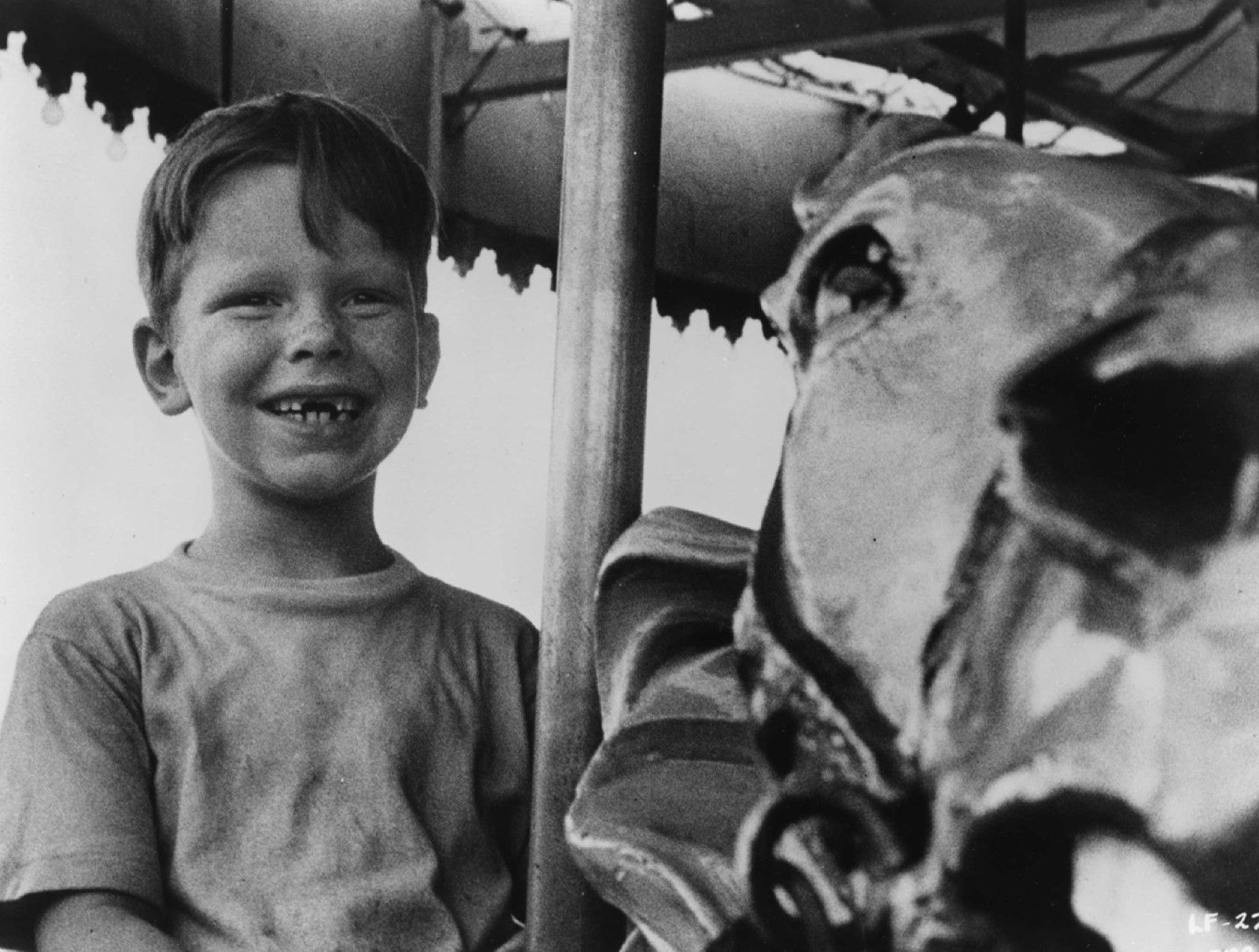 Foto zum Film Der kleine Ausreißer - Bild 7 auf 28 - FILMSTARTS.de