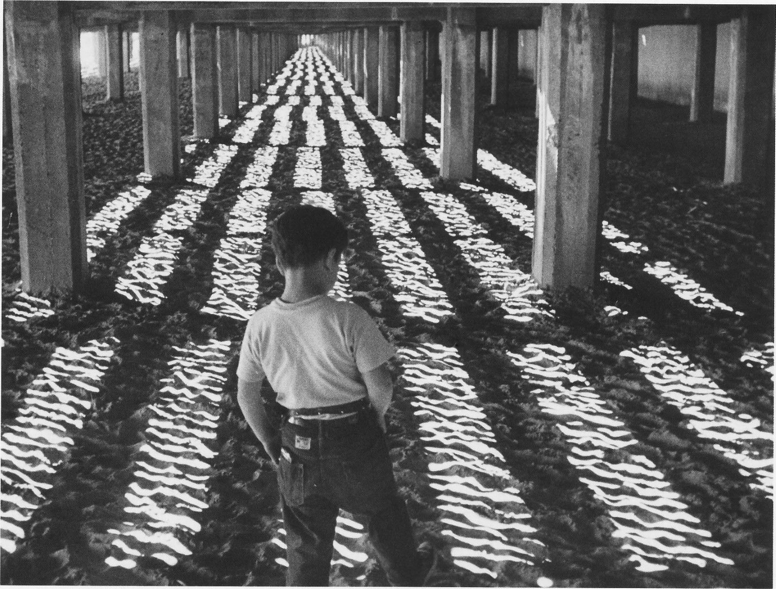 Foto zum Film Der kleine Ausreißer - Bild 2 auf 28 - FILMSTARTS.de