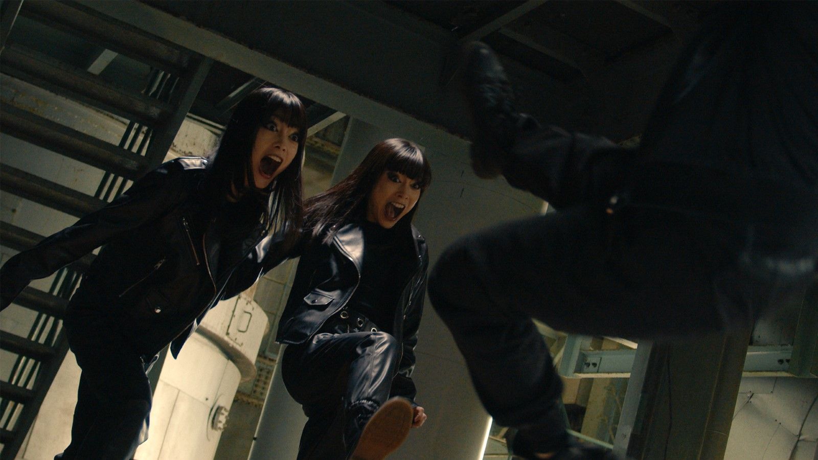 Foto zum Film Mad Cats - Bild 7 auf 15 - FILMSTARTS.de