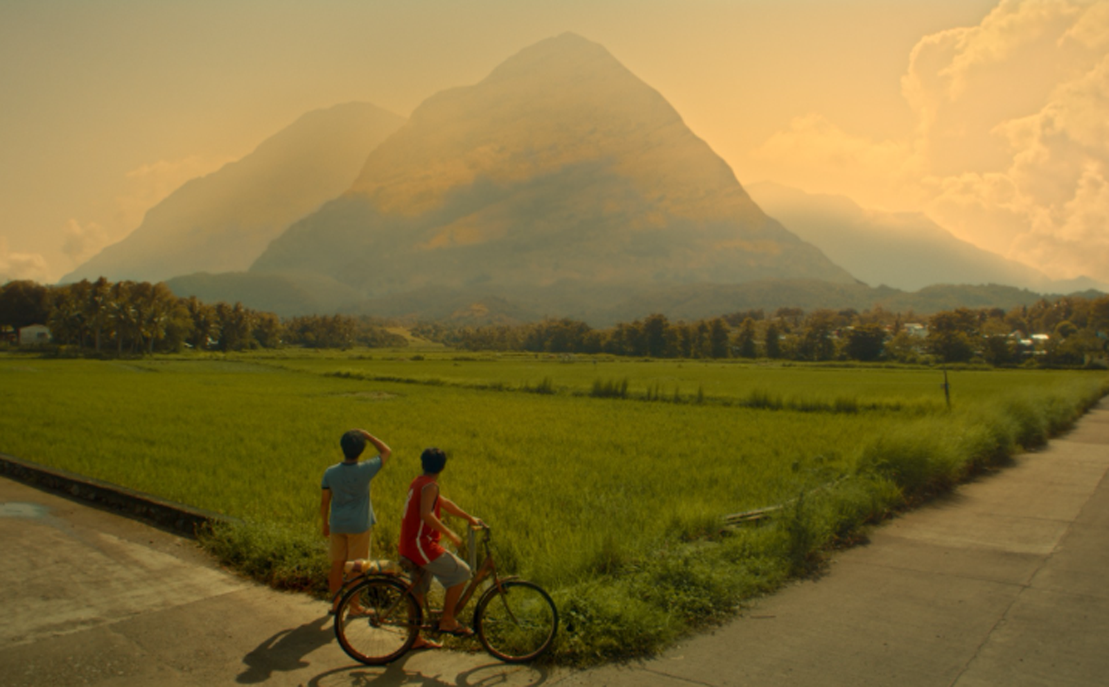 Foto zum Film Fin - Bild 2 auf 5 - FILMSTARTS.de