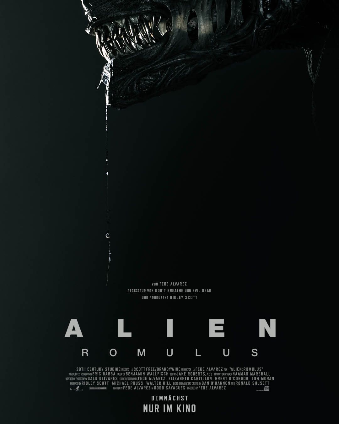 Poster zum Film Alien: Romulus - Bild 15 auf 15 - FILMSTARTS.de