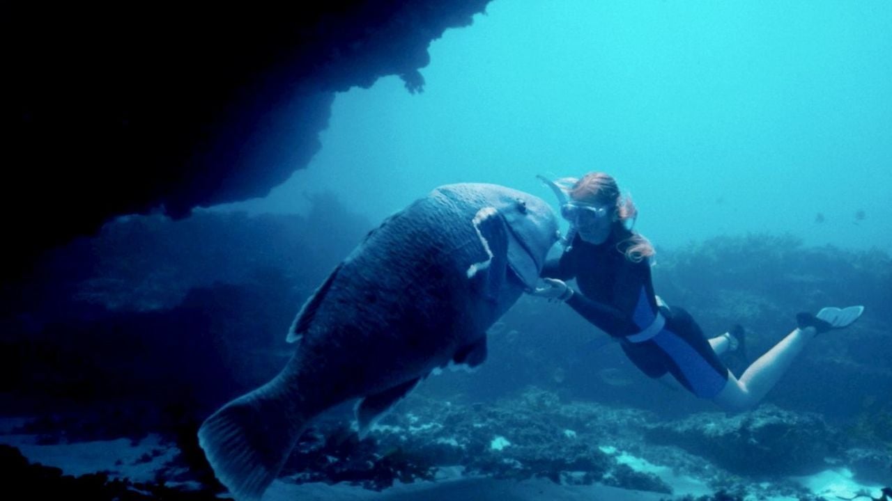 Kritik zu Blueback - Eine tiefe Freundschaft: Ein eindringliches ...