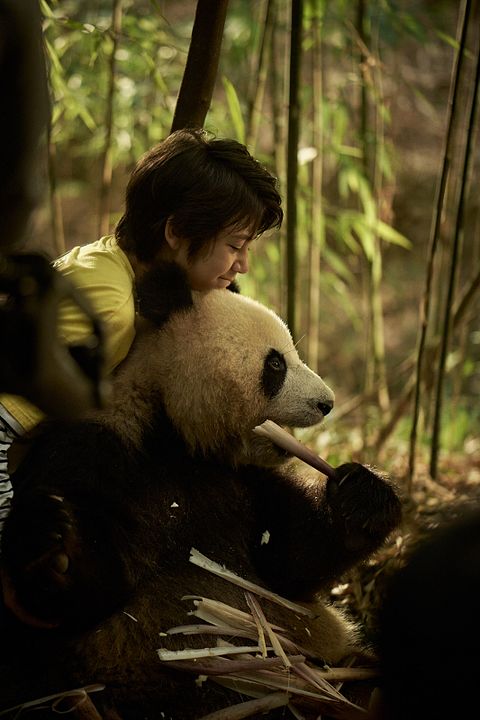 Foto zum Film Moon, der Panda - Bild 4 auf 6 - FILMSTARTS.de