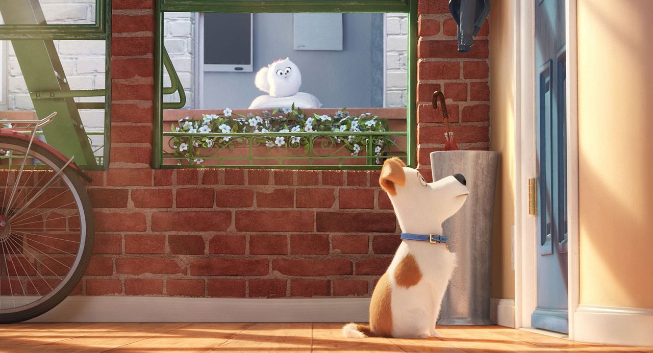 Foto zum Film Pets - Bild 37 auf 37 - FILMSTARTS.de