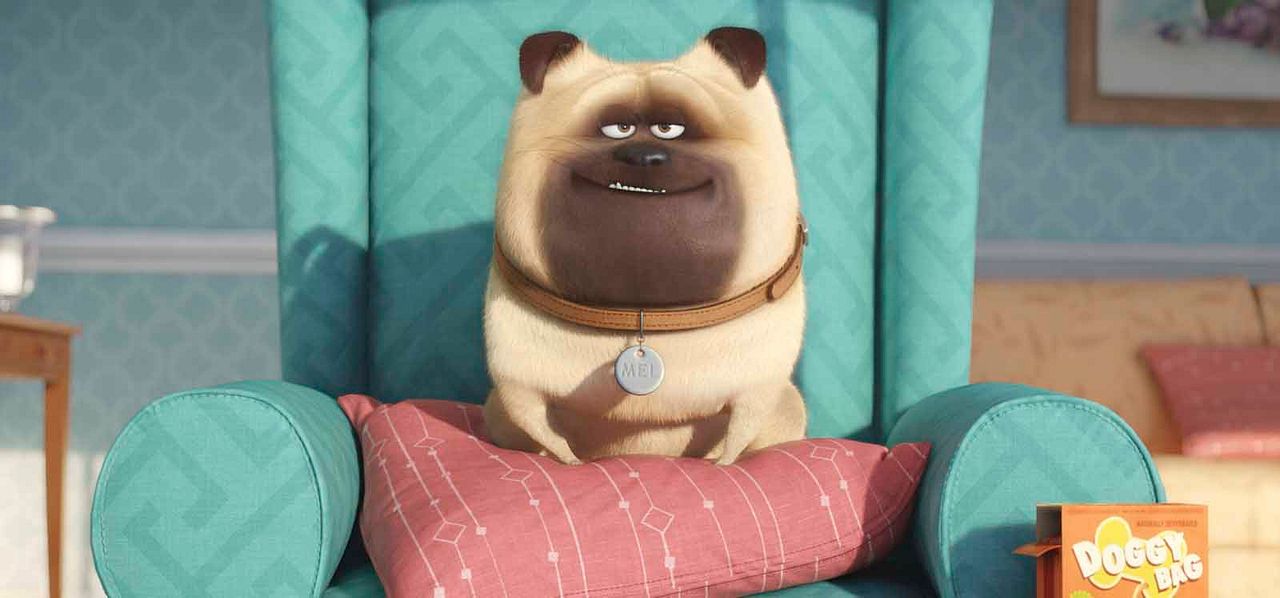 Foto zum Film Pets - Bild 34 auf 37 - FILMSTARTS.de
