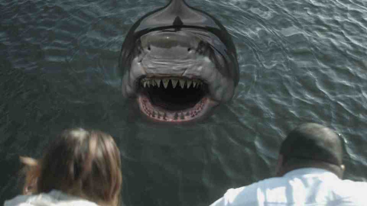 Foto zum Film Zombie Shark - The Swimming Dead - Bild 10 auf 11 ...