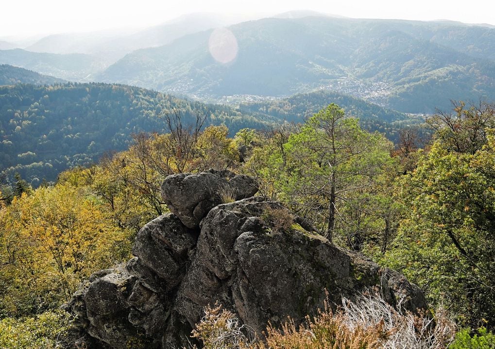 Foto zum Film Nachtwald - Das Abenteuer beginnt! - Bild 1 auf 16 ...