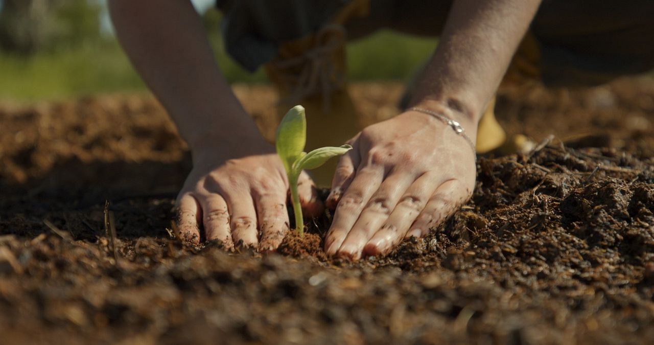 Foto zum Film Step By Step - Bild 5 auf 11 - FILMSTARTS.de