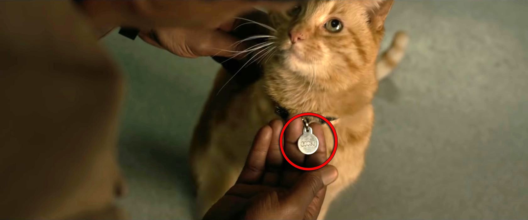 Darum könnte die Katze aus dem "Captain Marvel"-Trailer auch in ...