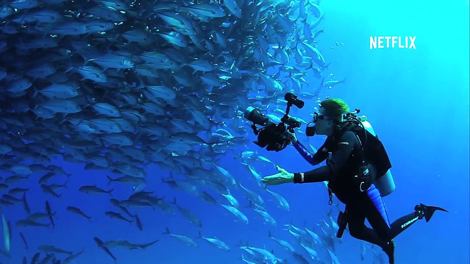 Mission Blue Trailer - Mission Blue Trailer OmU - FILMSTARTS.de