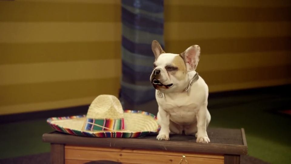 Pups United Trailer - Pups United Trailer OV - FILMSTARTS.de