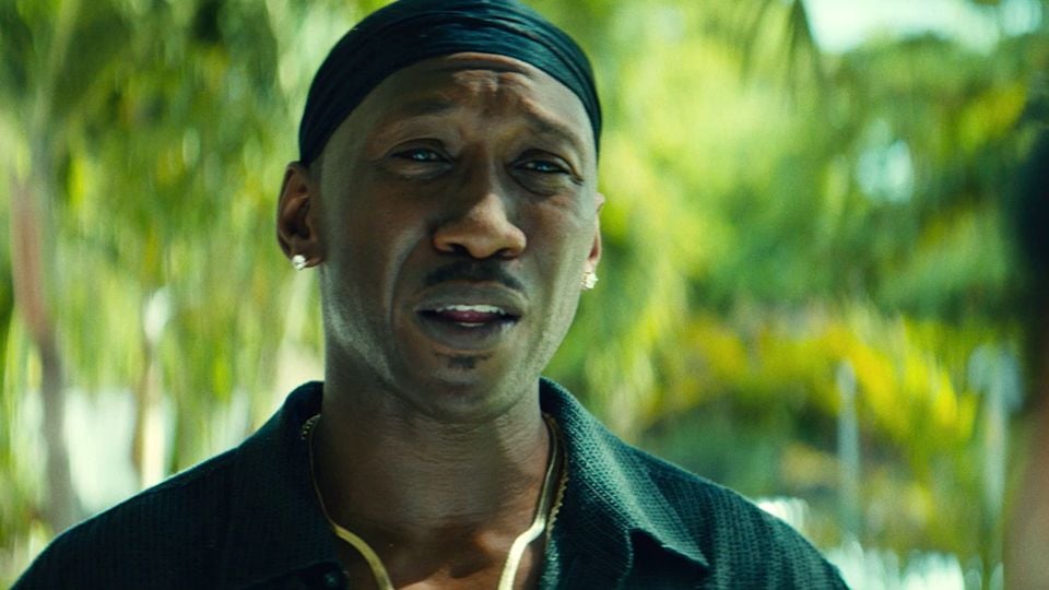 Moonlight Trailer - Moonlight Trailer DF - FILMSTARTS.de