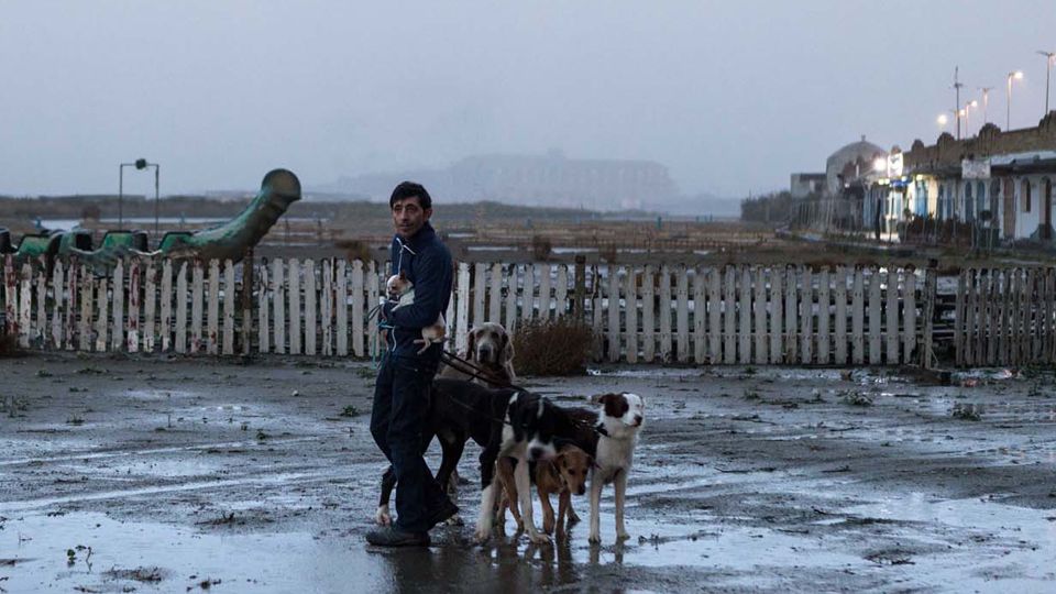 Dogman Trailer - Dogman Trailer (2) OV - FILMSTARTS.de