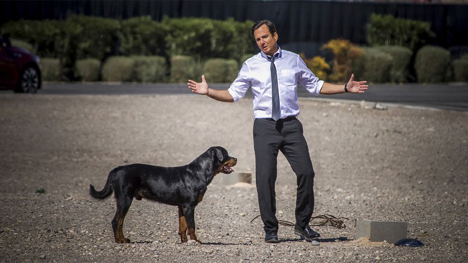 Show Dogs Trailer - Show Dogs Trailer DF - FILMSTARTS.de