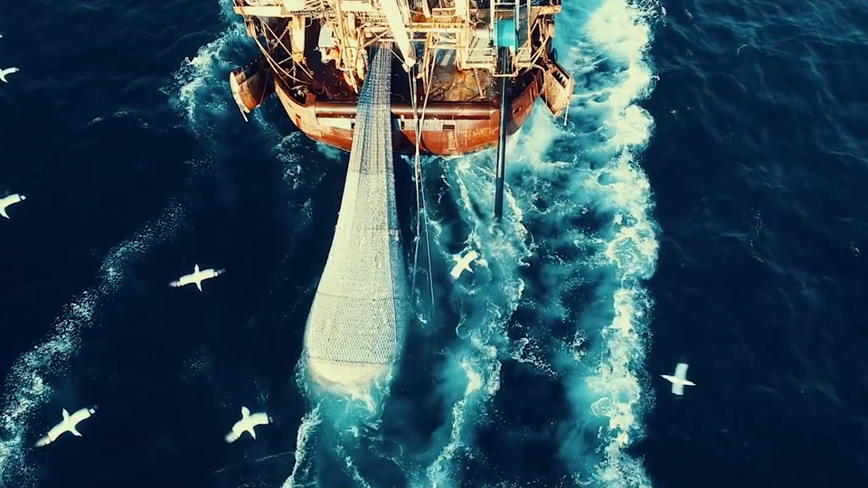 Seaspiracy Trailer - Seaspiracy Trailer OV - FILMSTARTS.de