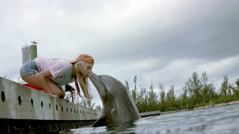 Die Insel der Delfine Trailer - Die Insel der Delfine Trailer (2) OV ...