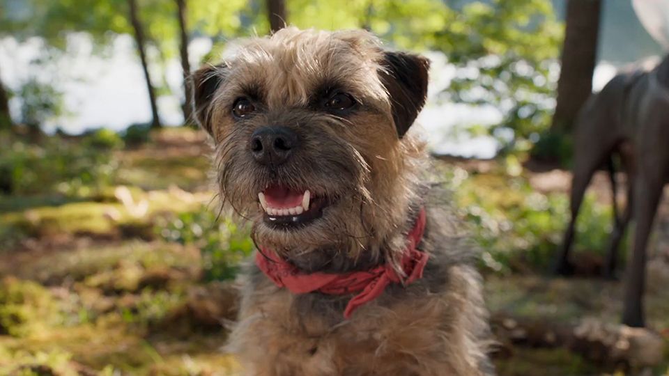 Doggy Style: Dieser Sommer kommt von hinten Trailer - Doggy Style ...