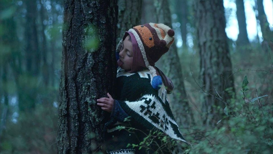 Das Echo Trailer - Das Echo Trailer OV - FILMSTARTS.de