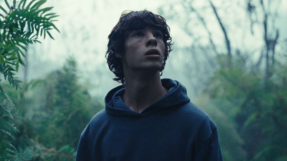 Animalia Trailer - Animalia Trailer DF - FILMSTARTS.de